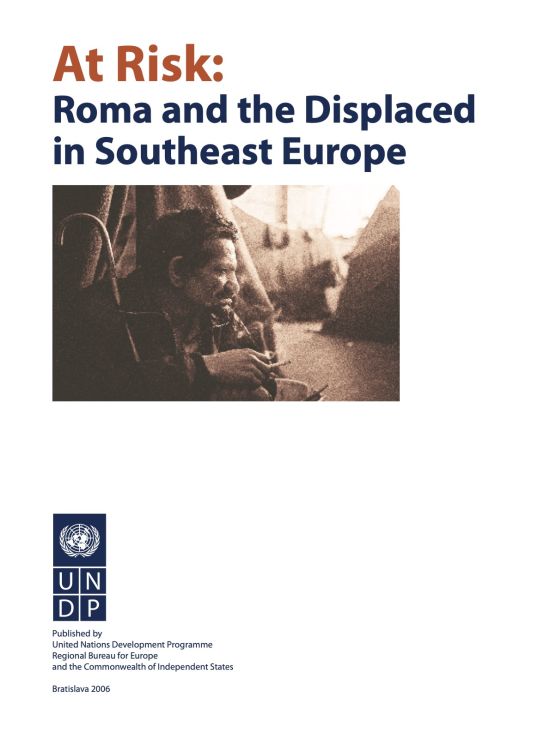 At Risk | Human Development Reports