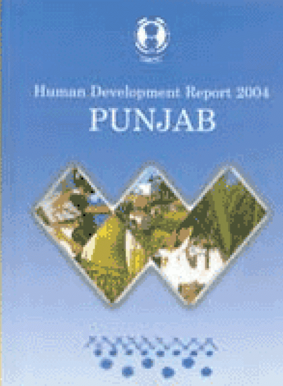 Punjab Human Development Report 2004 | Human Development Reports