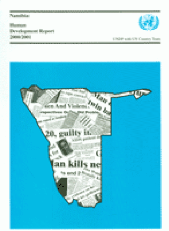 Gender and Violence in Namibia | Human Development Reports