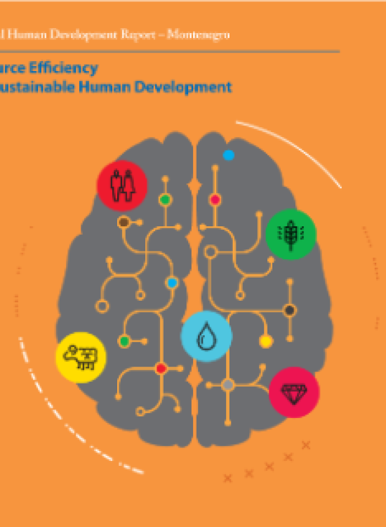 Montenegro Human Development Report 2014 | Human Development Reports